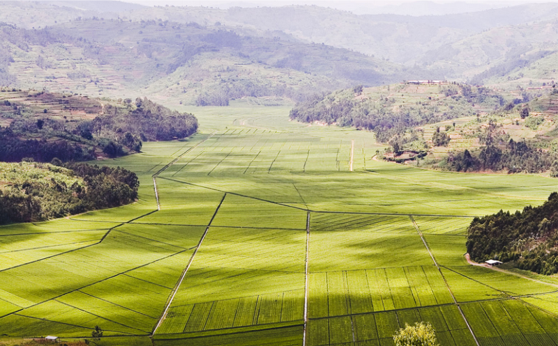 "Tierra De Mil Colinas", Más Allá De Lo Que Se Muestra: Rwanda EnViajes